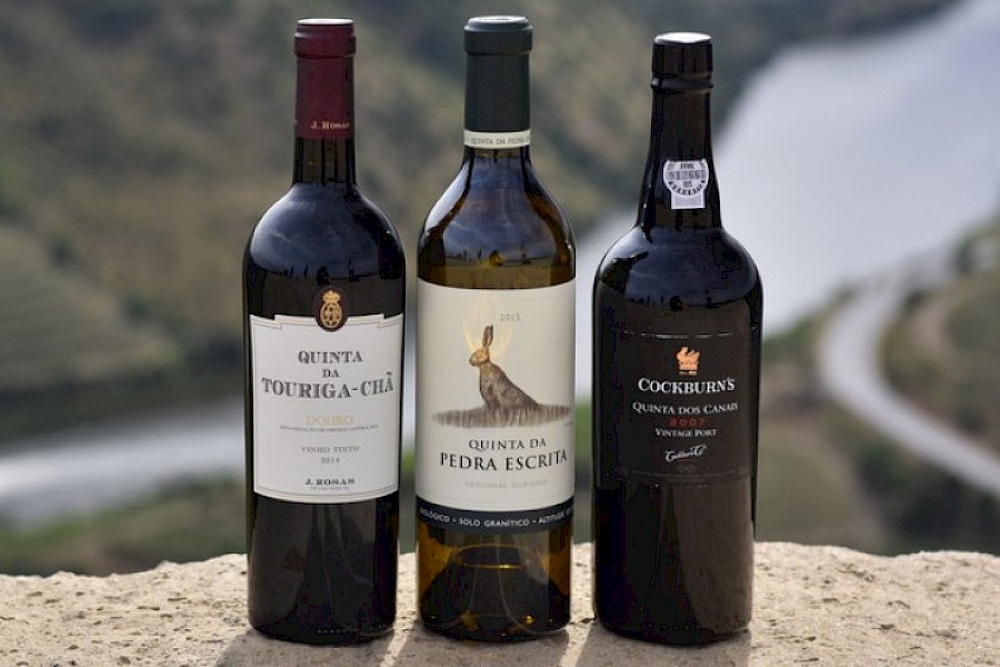 'Concurso de Vinhos do Douro Superior 2017’ medalhou 51 vinhos - Jornal ...